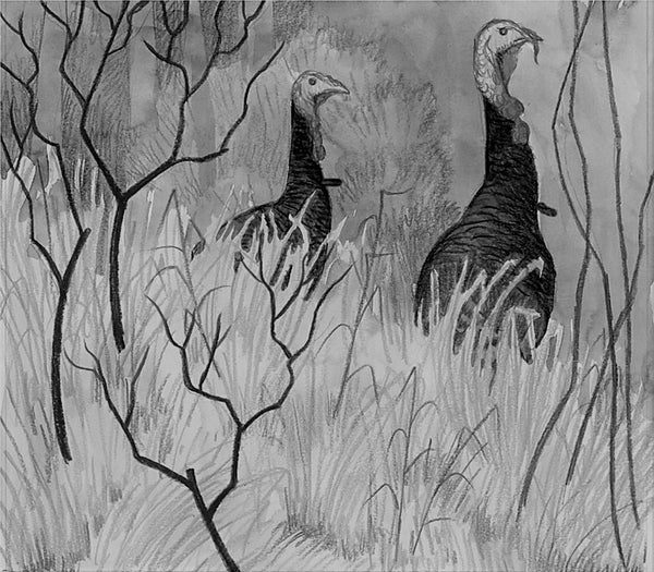 Winner, Winner, Turkey Dinner | Children's Books by Kevin Lovegreen ...