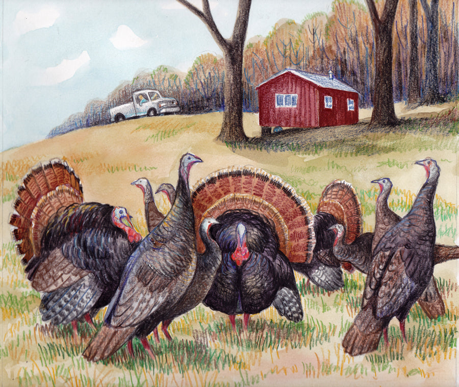 Turkey Tales | Children's Books by Kevin Lovegreen – Kevin Lovegreen ...